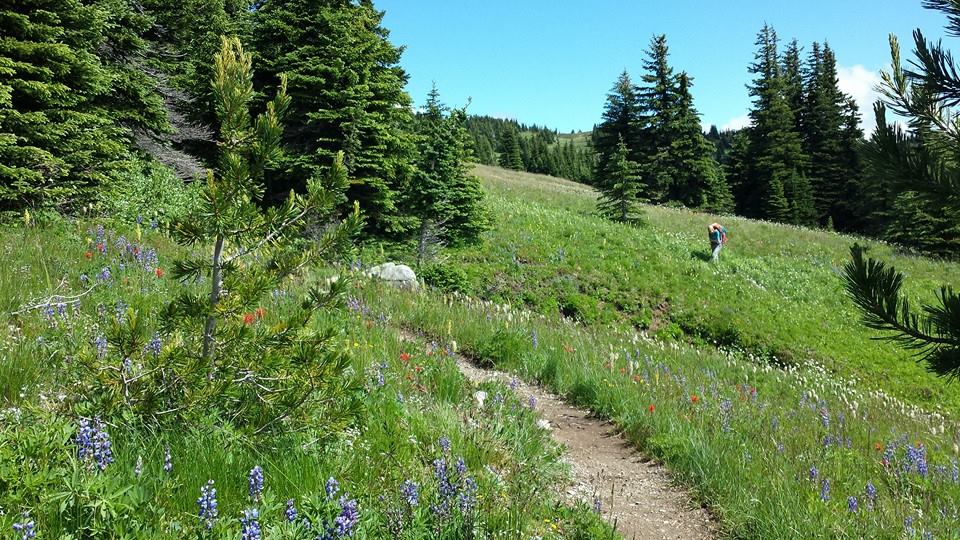 Backpack the Heather Trail, BC, Manning Park, British Columbia