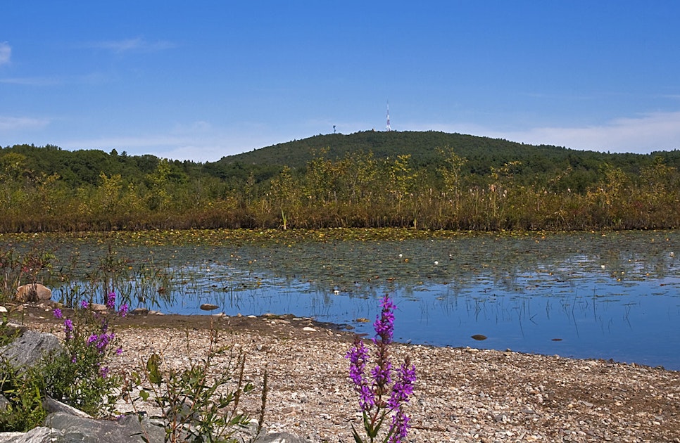 Hike the Ponkapoag Pond Trail, Ponkapoog Pond Trail