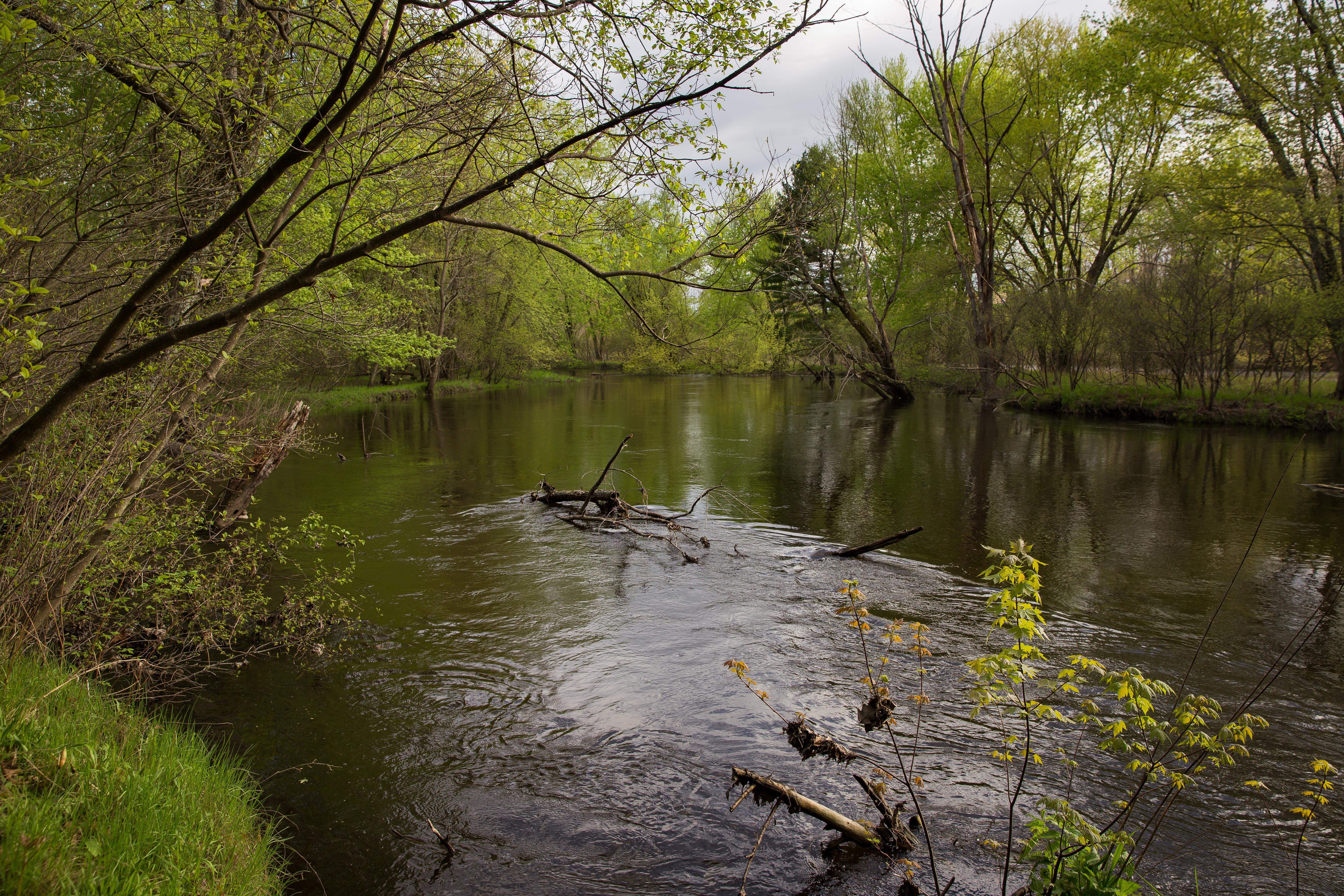 Hike along the Nashua River and the Oxbow National Wildlife Refuge ...