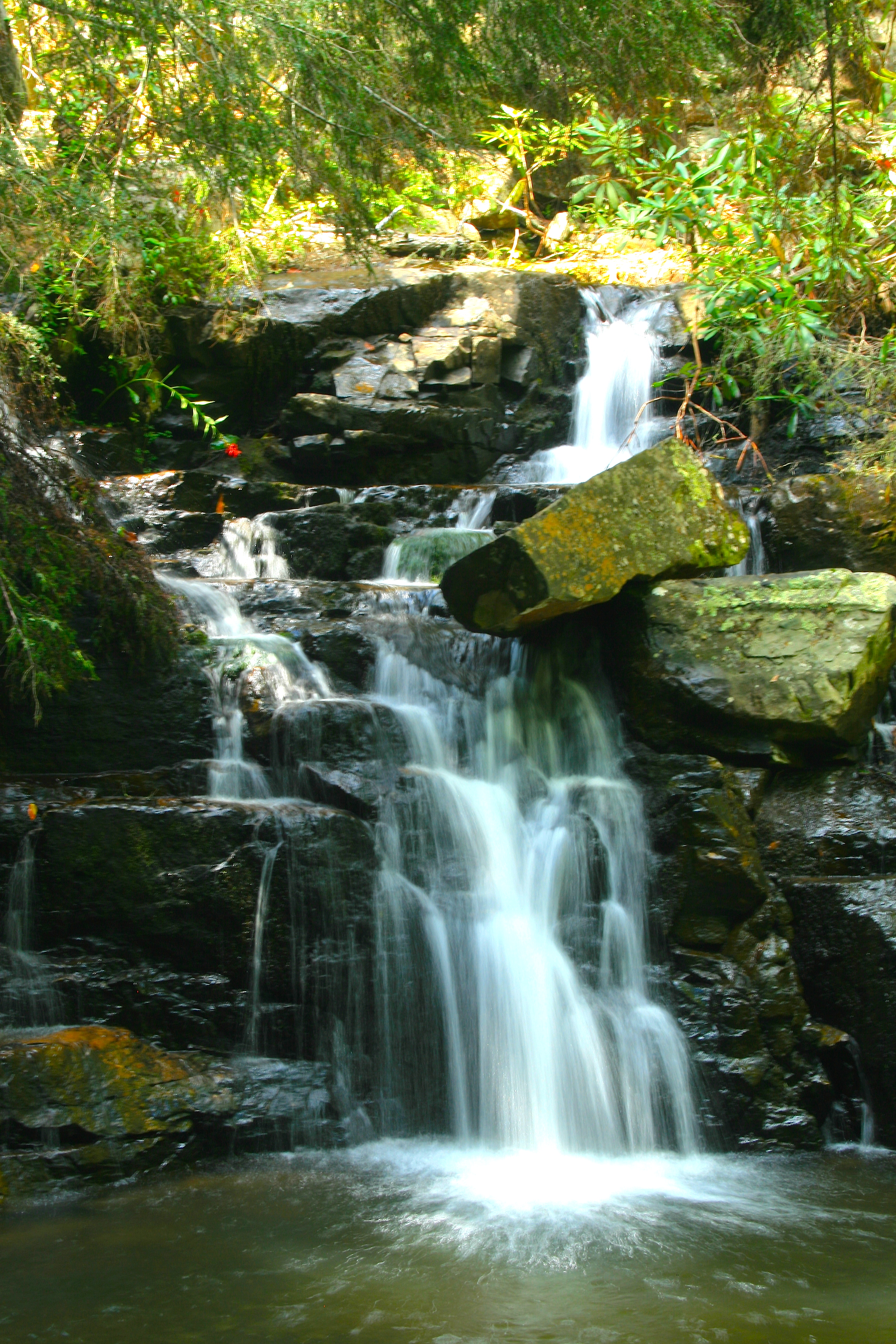 Hike the Scenic Spur Trail, Reliance, Tennessee