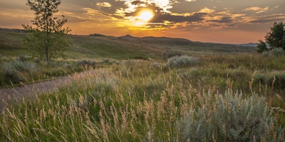 Drive Scenic Route to Oxbow Overlook, North Unit Visitor Center