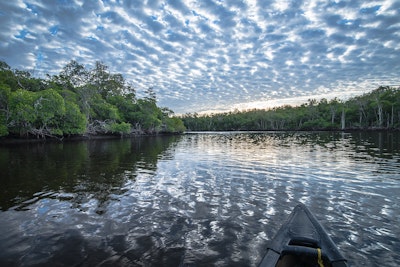 Paddle The Everglades' Wilderness Waterway, Wilderness Waterway - North