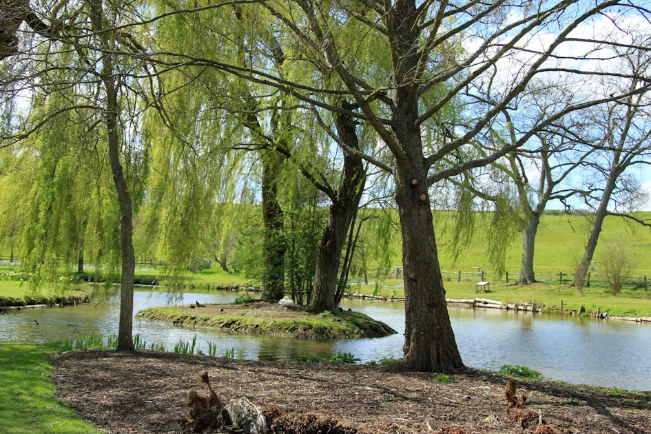 Explore Dinosaur Tracks in Leander, South Fork San Gabriel River