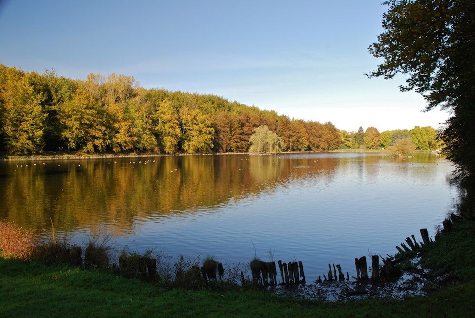 Hike to Double Lake Via Lone Star Hiking Trail, Texas