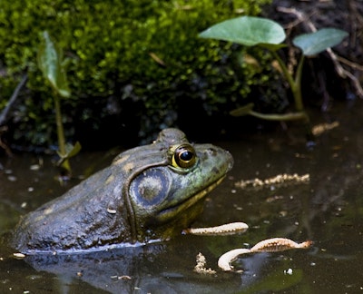 Hike the Edith L Moore Nature Sanctuary Trail, Edith L Moore Nature ...