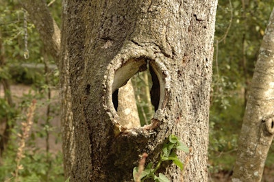 Hike the Edith L Moore Nature Sanctuary Trail, Edith L Moore Nature ...