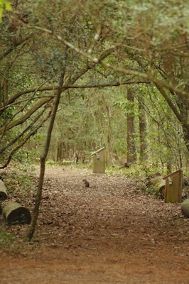 Hike the Edith L Moore Nature Sanctuary Trail, Edith L Moore Nature ...