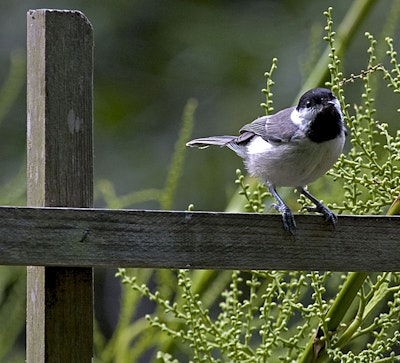Hike the Edith L Moore Nature Sanctuary Trail, Edith L Moore Nature ...