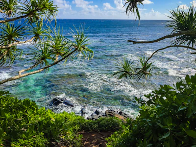 Hike to Turtle Cave, Turtle Cave Trailhead