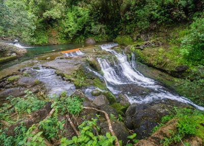 Swim in the Waikoko Stream & Waterfall, Waikoko Stream Parking Area