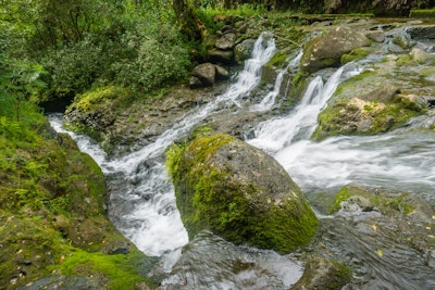Swim in the Waikoko Stream & Waterfall, Waikoko Stream Parking Area