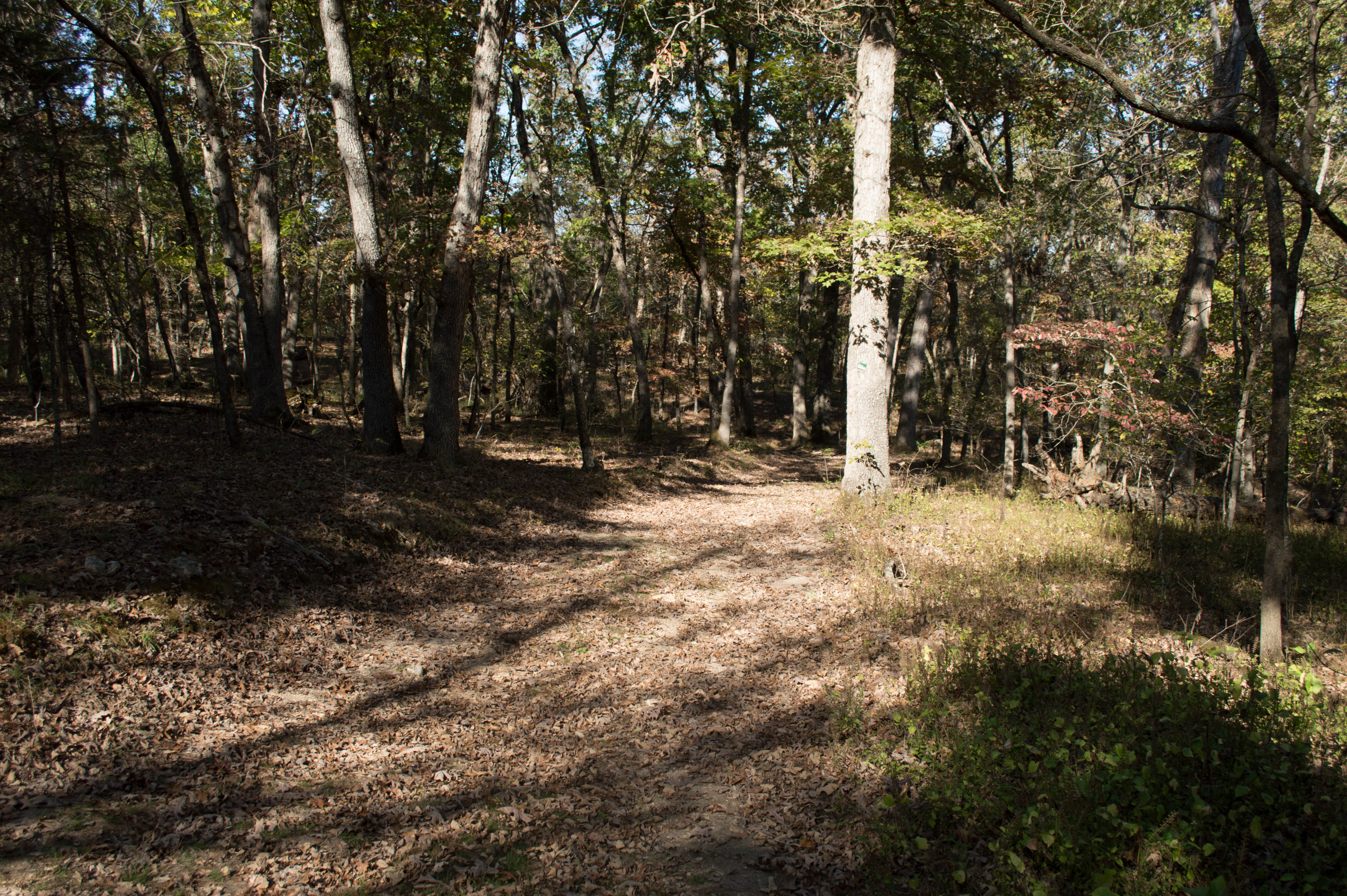 Hike Hidden Springs Trail, Brumley, Missouri