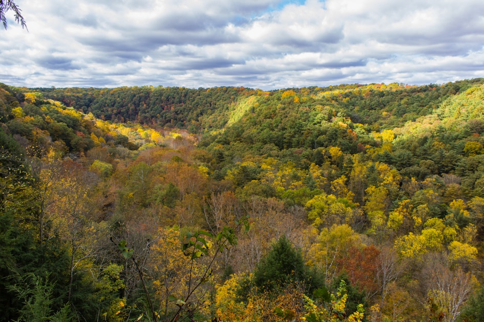 Photograph Clear Fork Gorge, Perrysville, Ohio