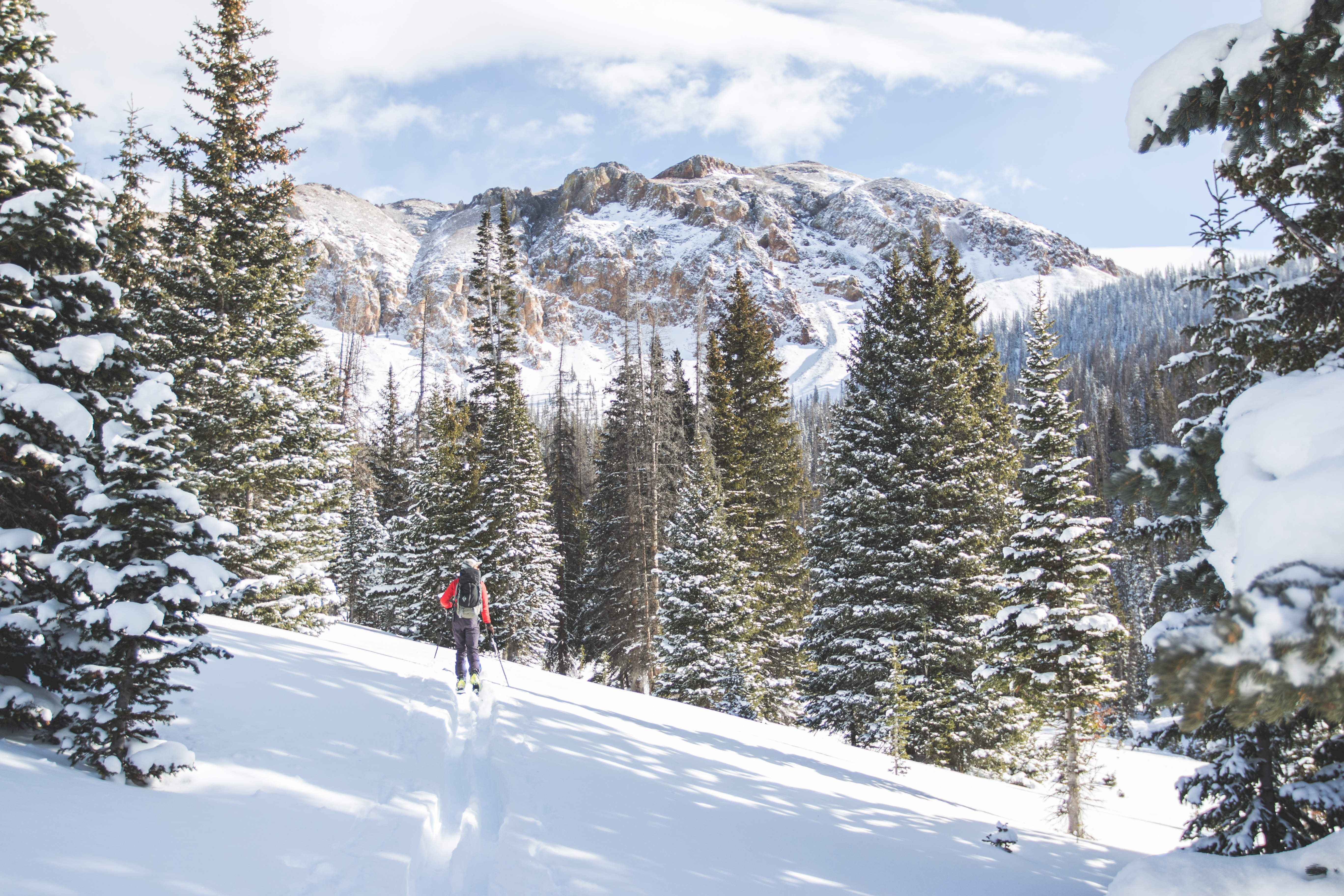 Backcountry Ski or Snowboard at Cameron Pass, Walden, Colorado