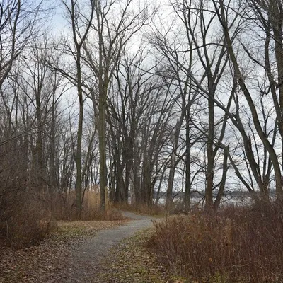 Hike the Pew Island Trail, Indian Lake, Pew Island Trailhead