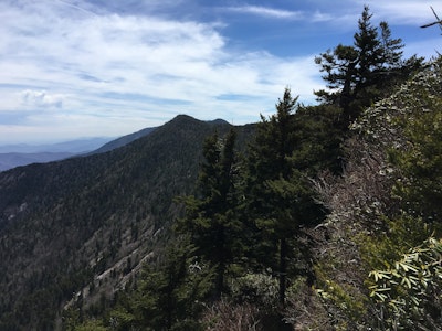 Hike Deep Gap Trail at Mt. Mitchell State Park, Deep Gap Trailhead ...