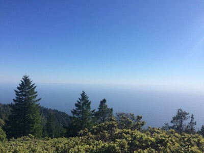 Hike the Chinquapin Loop on The Lost Coast, Hidden Valley Trailhead ...