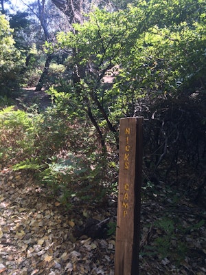 Hike the Chinquapin Loop on The Lost Coast, Hidden Valley Trailhead ...