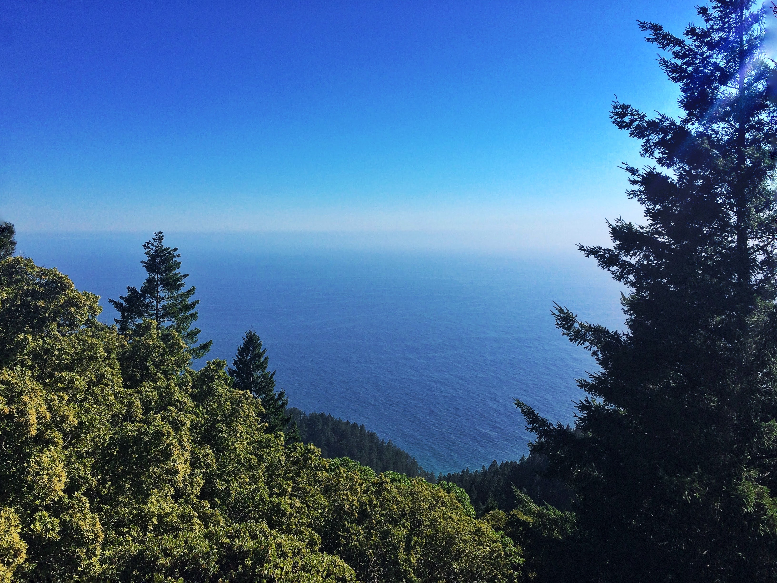 Chinquapin Loop on The Lost Coast, Whitethorn, California