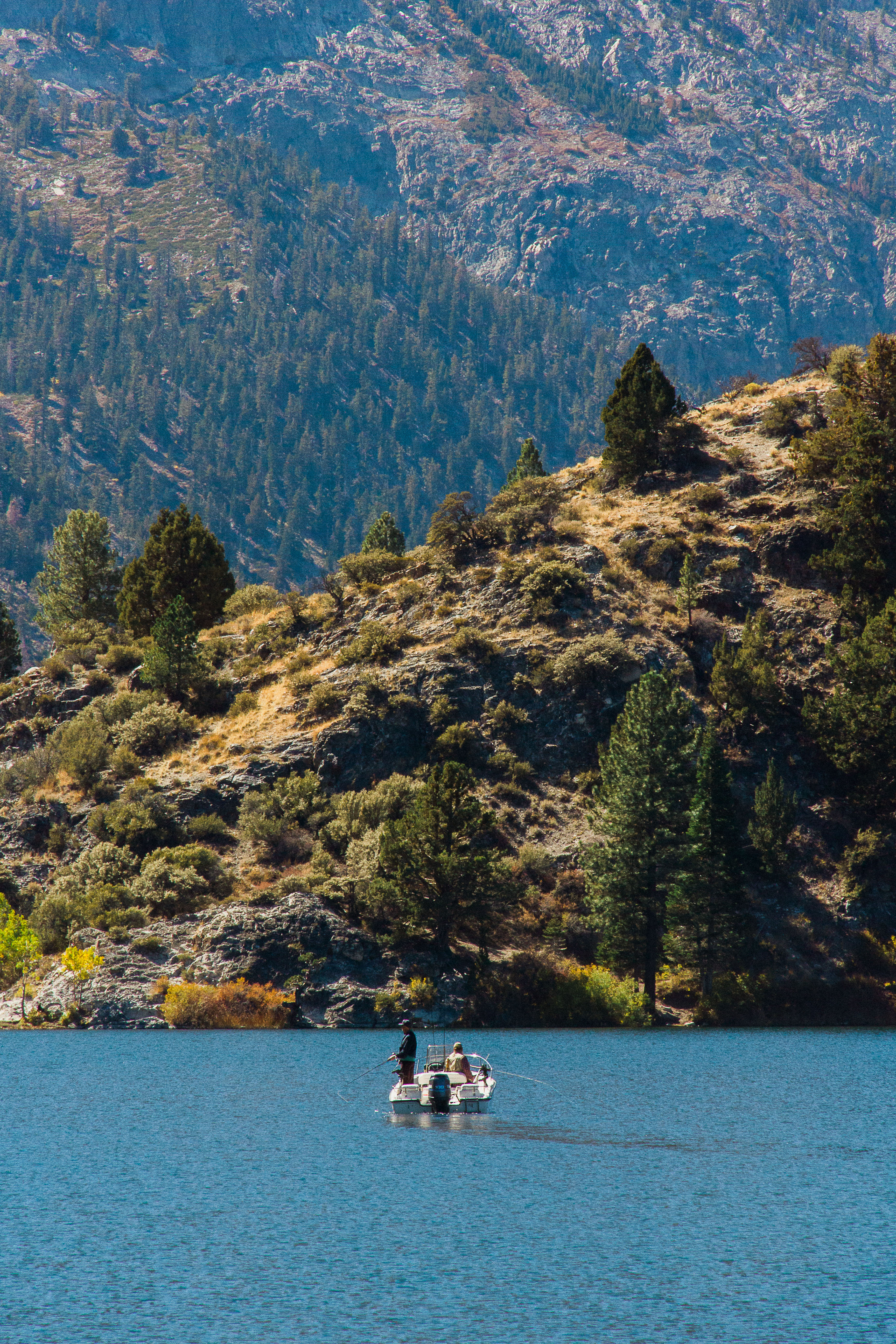 Photo of Camp at Oh Ridge Campground on June Lake