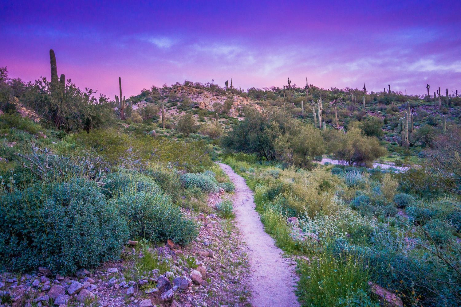 Hike the Wild Burro Trail, Morristown, Arizona