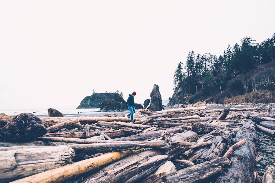 How We Explored the Olympic Peninsula in Just One Day