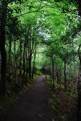 Hike the Torc Waterfall Loop, Torc Waterfall