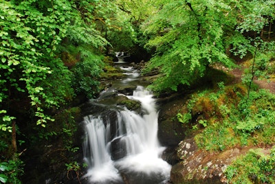 Hike the Torc Waterfall Loop, Torc Waterfall