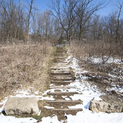 Hike the Horseshoe Bluff Trail , Horseshoe Bluff Trailhead