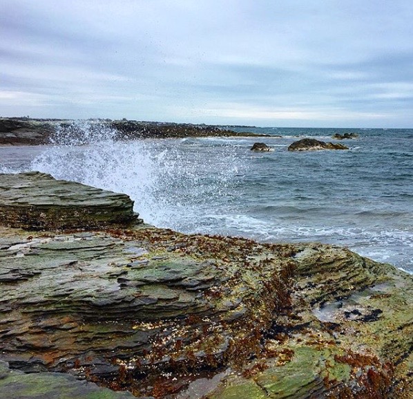 Photo of Brenton Point State Park