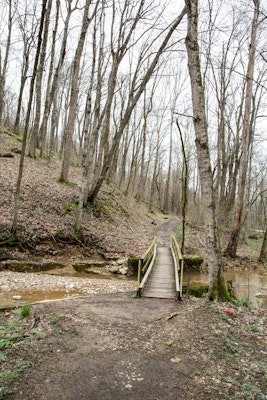 Hike to Tioga Falls, Tioga Falls Trailhead