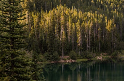 Hike to Packsaddle Lake, Packsaddle Lake Trailhead