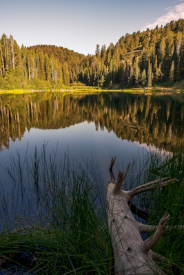 Hike to Packsaddle Lake, Packsaddle Lake Trailhead