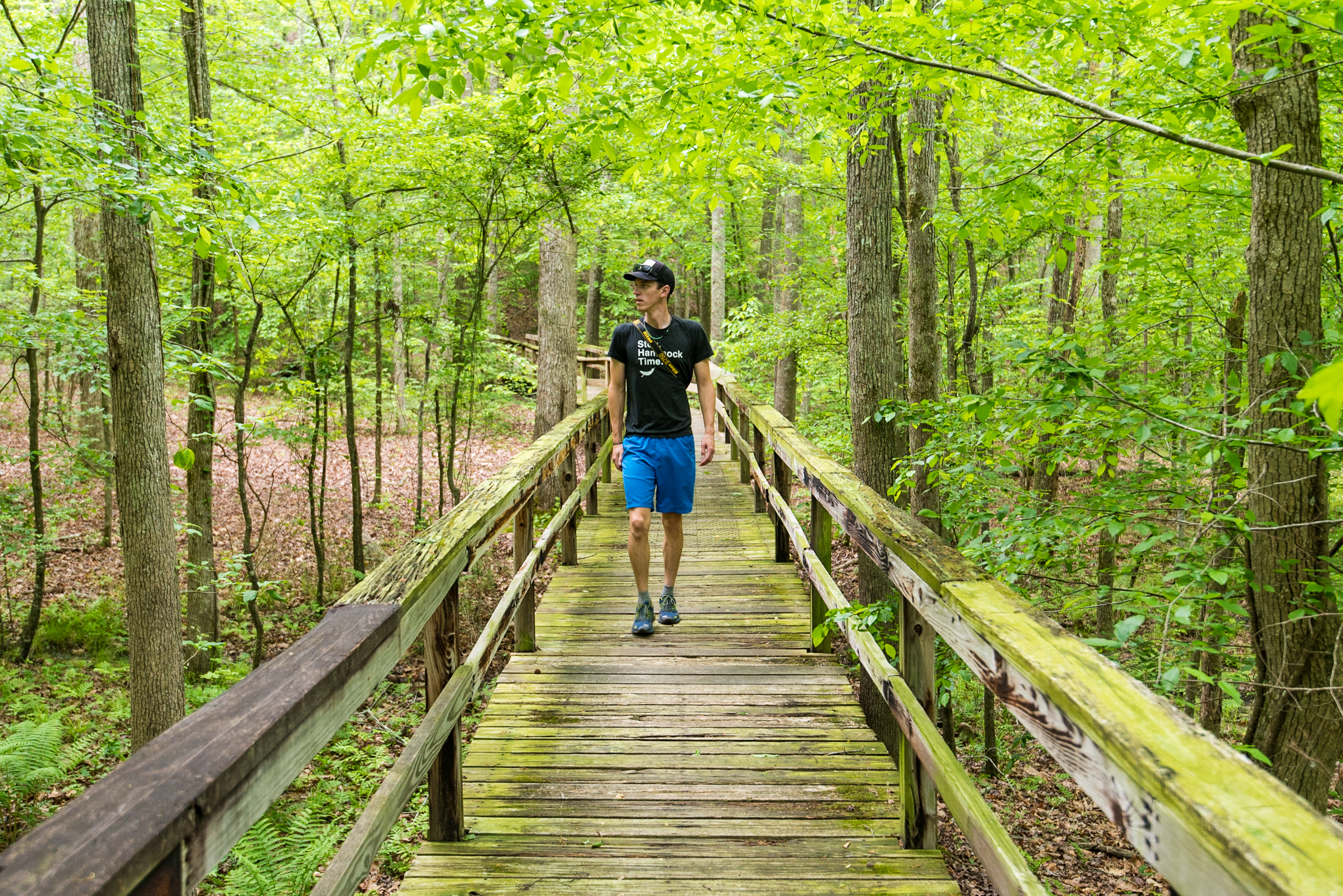 Hike the Dismal Swamp Loop, Pocahontas, Tennessee