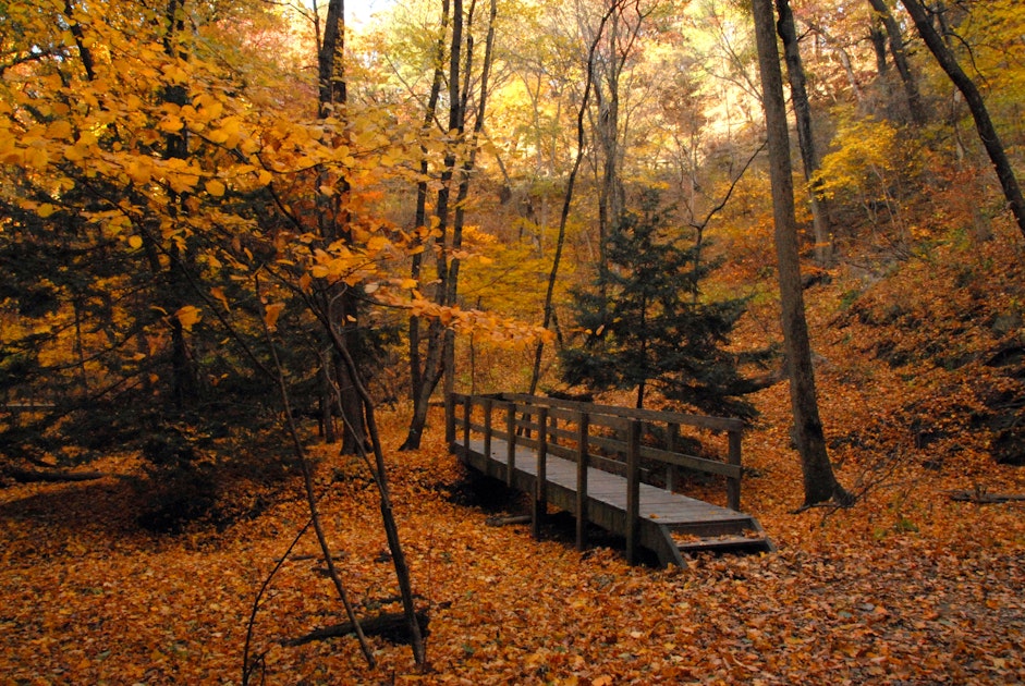 Hike Starved Rock and Sandstone Point Overlook Trail, Starved Rock ...