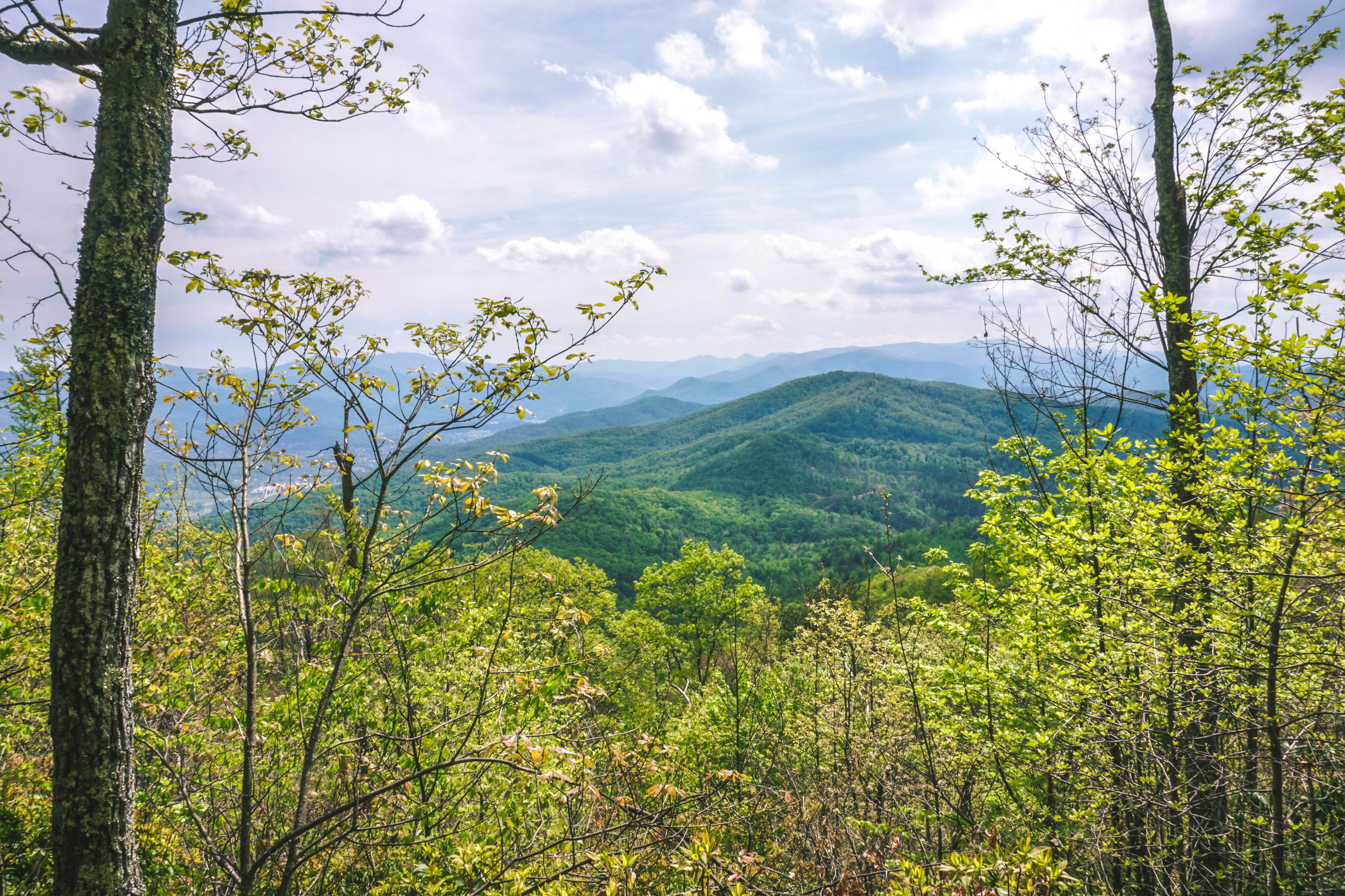 Photos: Pinnacle Mountain Fire Tower via Fire Tower Road, Unicoi, Tennessee