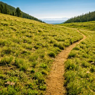 Backpack the Buffalo Peaks Wilderness Loop, Rich Creek Campground