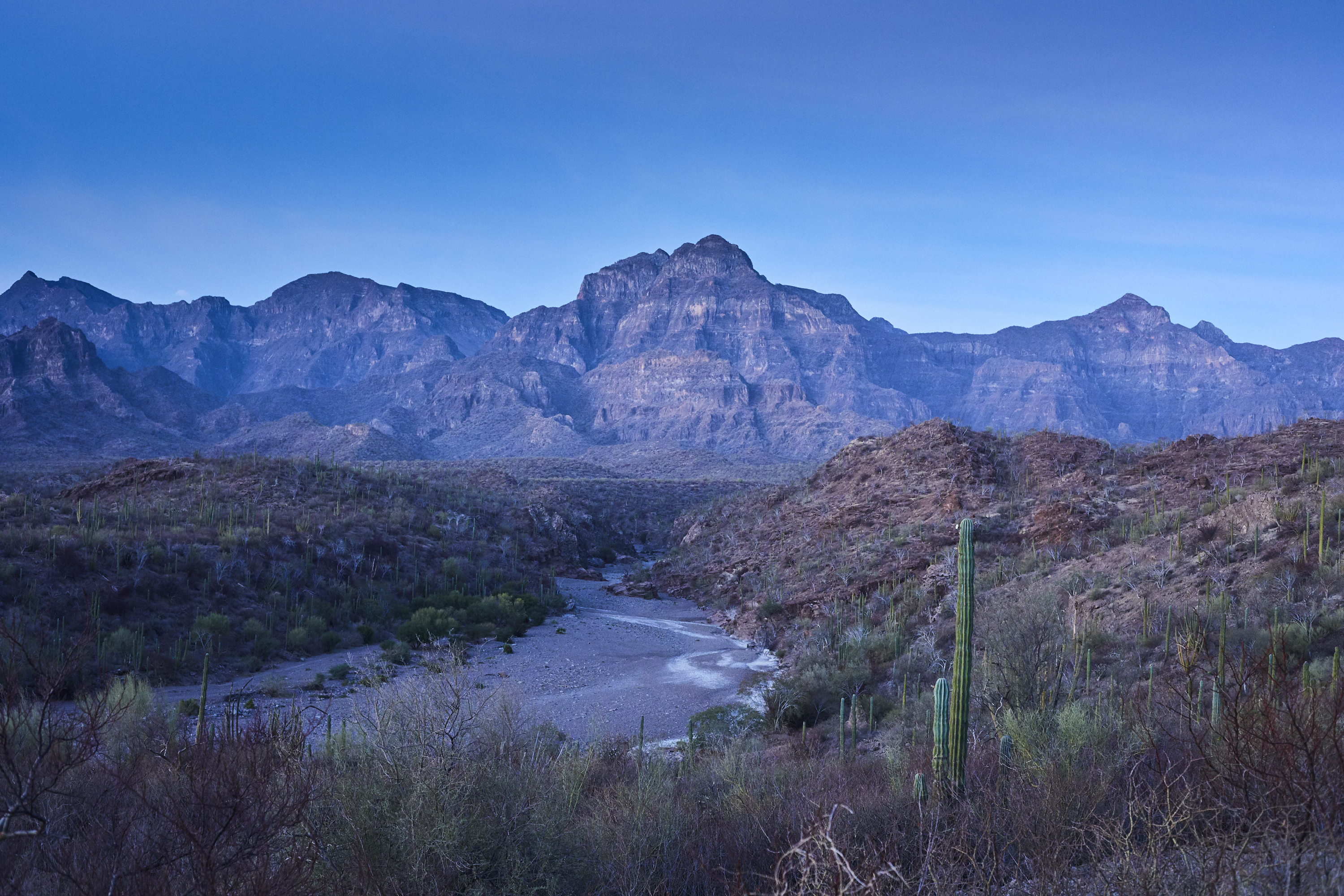 Hike El Tular Canyon in the Sierra de la Gigante Mountains, Loreto ...