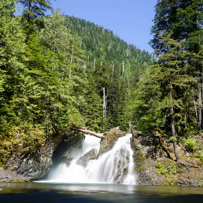 Hike to Wynoochee Falls, Wynoochee Falls Parking