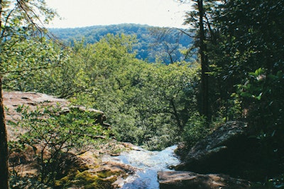 Hike the Fiery Gizzard Trail, Grundy Forest Trailhead