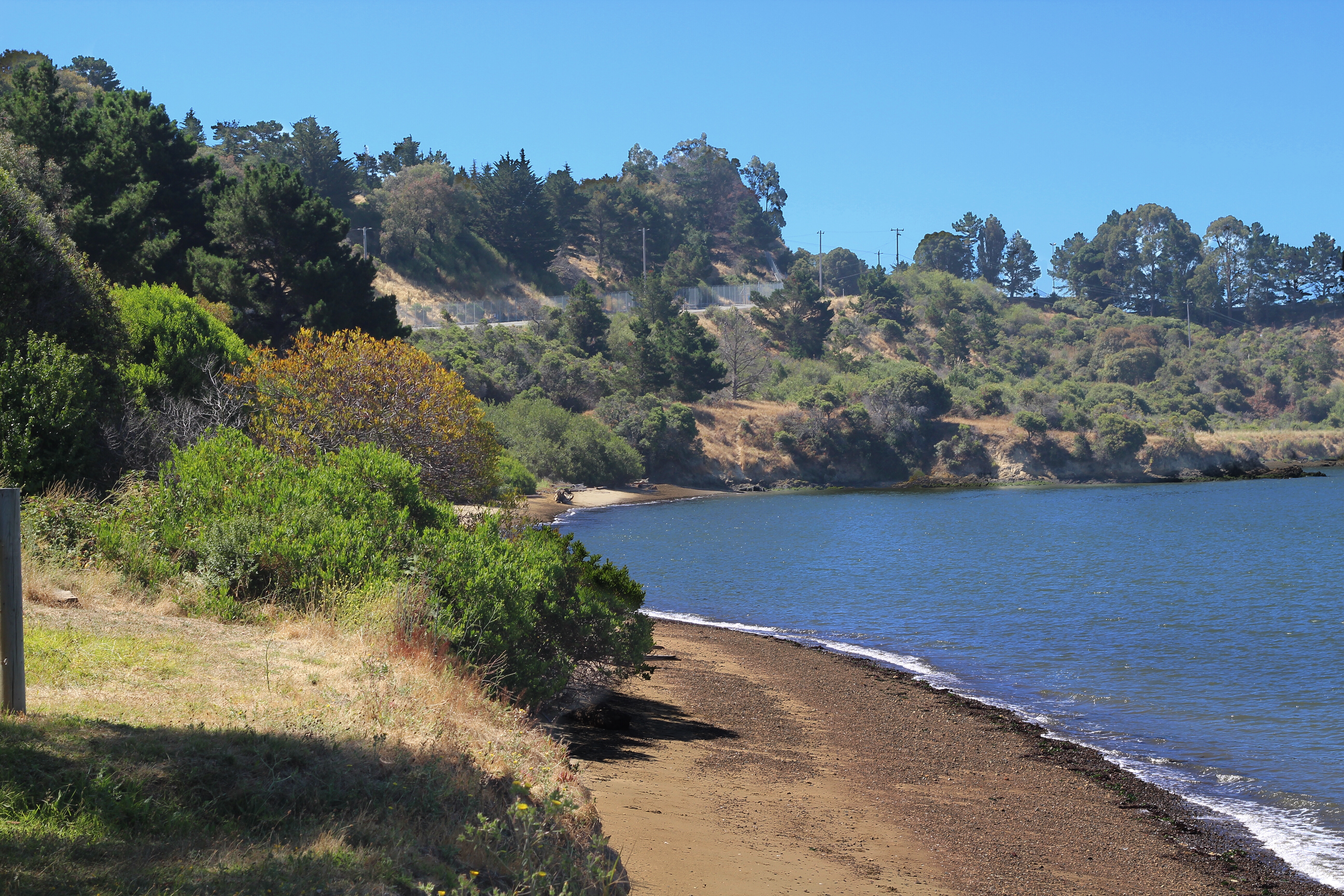 Photos: Picnic at Point Molate Beach Park, Richmond, California