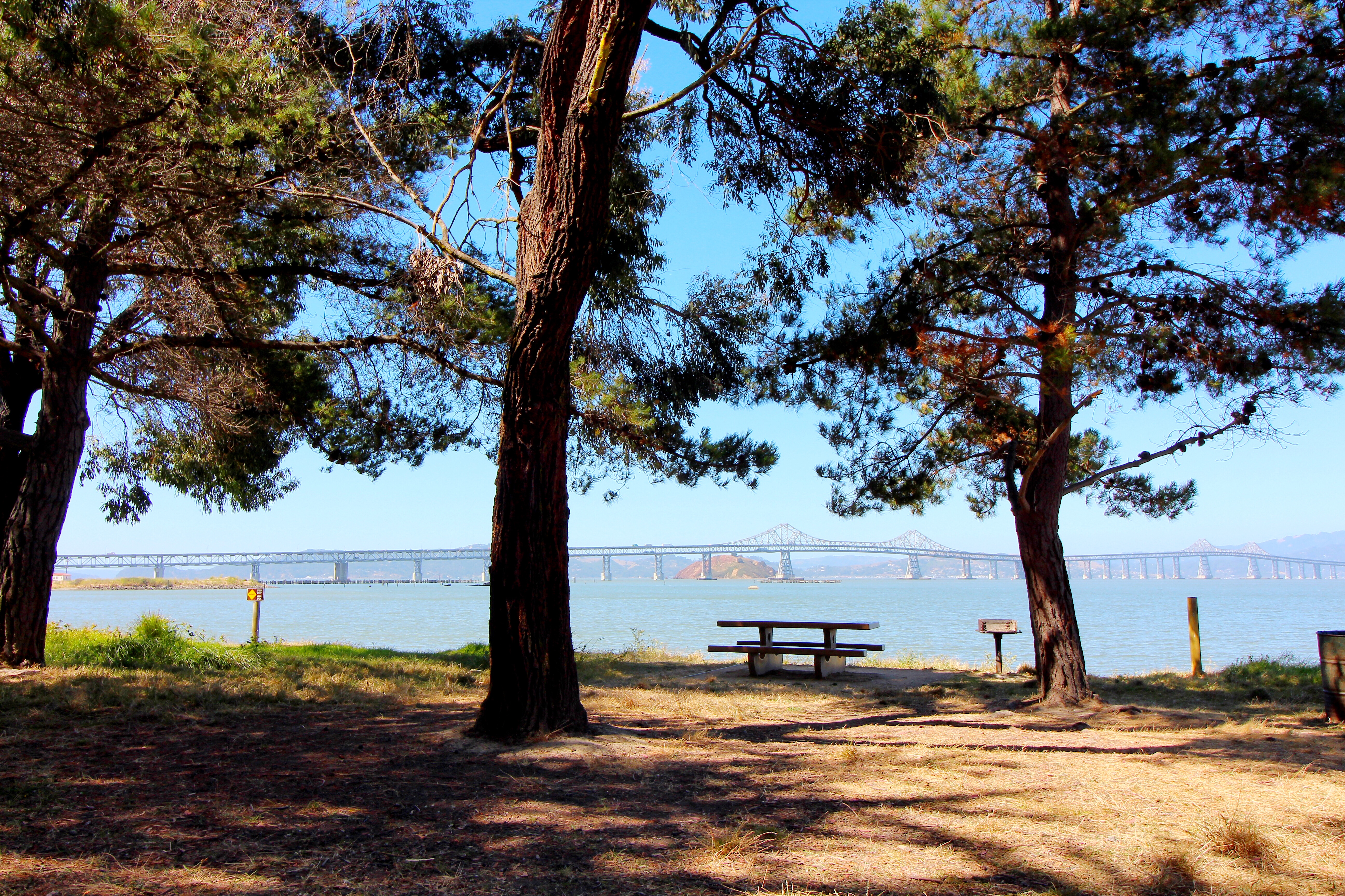 Photos: Picnic at Point Molate Beach Park, Richmond, California
