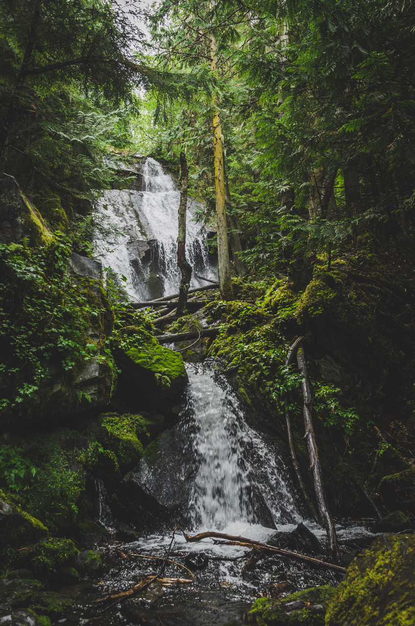 Hike the New Hazelton Lookout and Waterfall Trail, South Hazelton ...