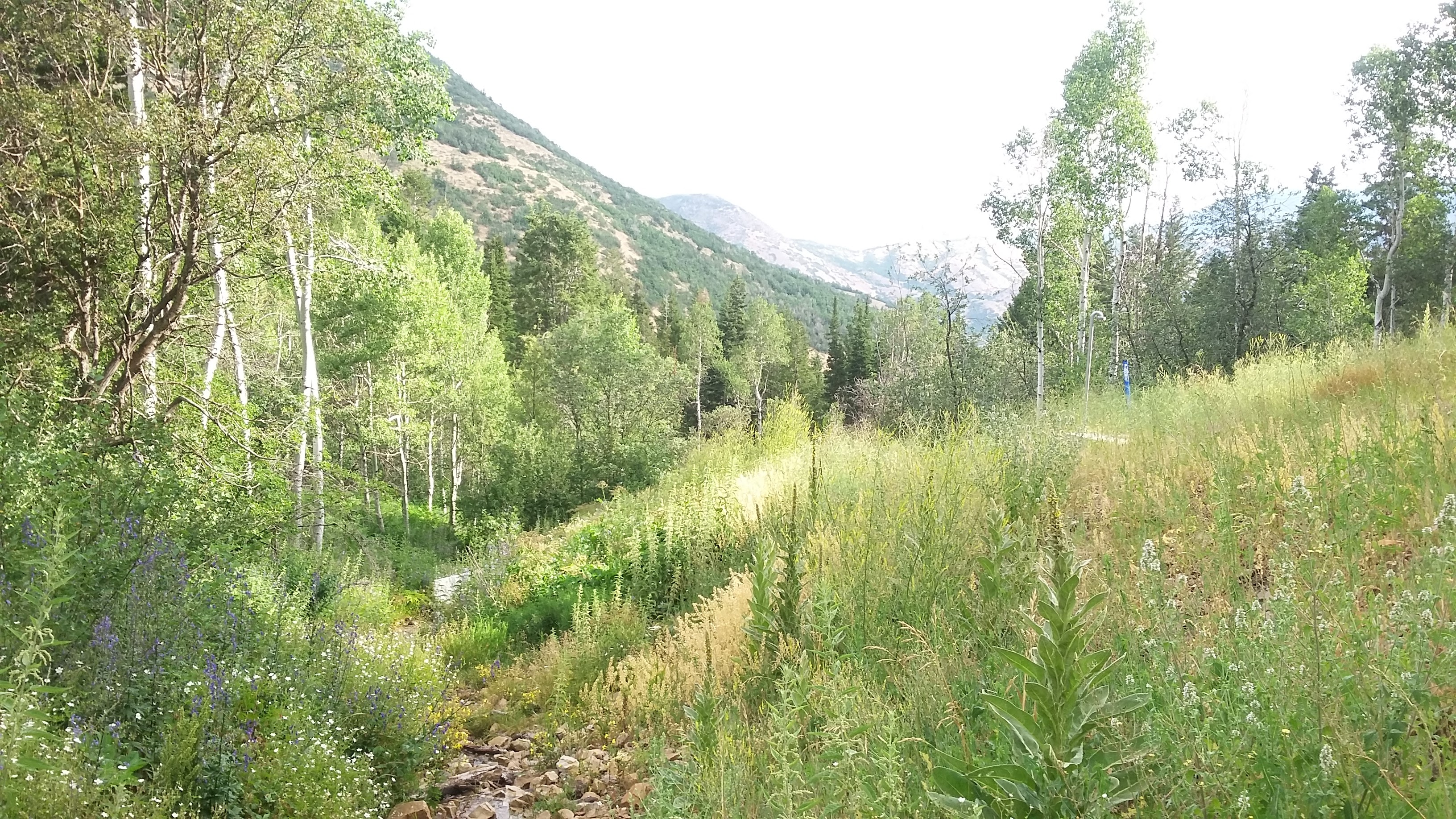 Hike Big Springs Hollow Loop, Provo, Utah