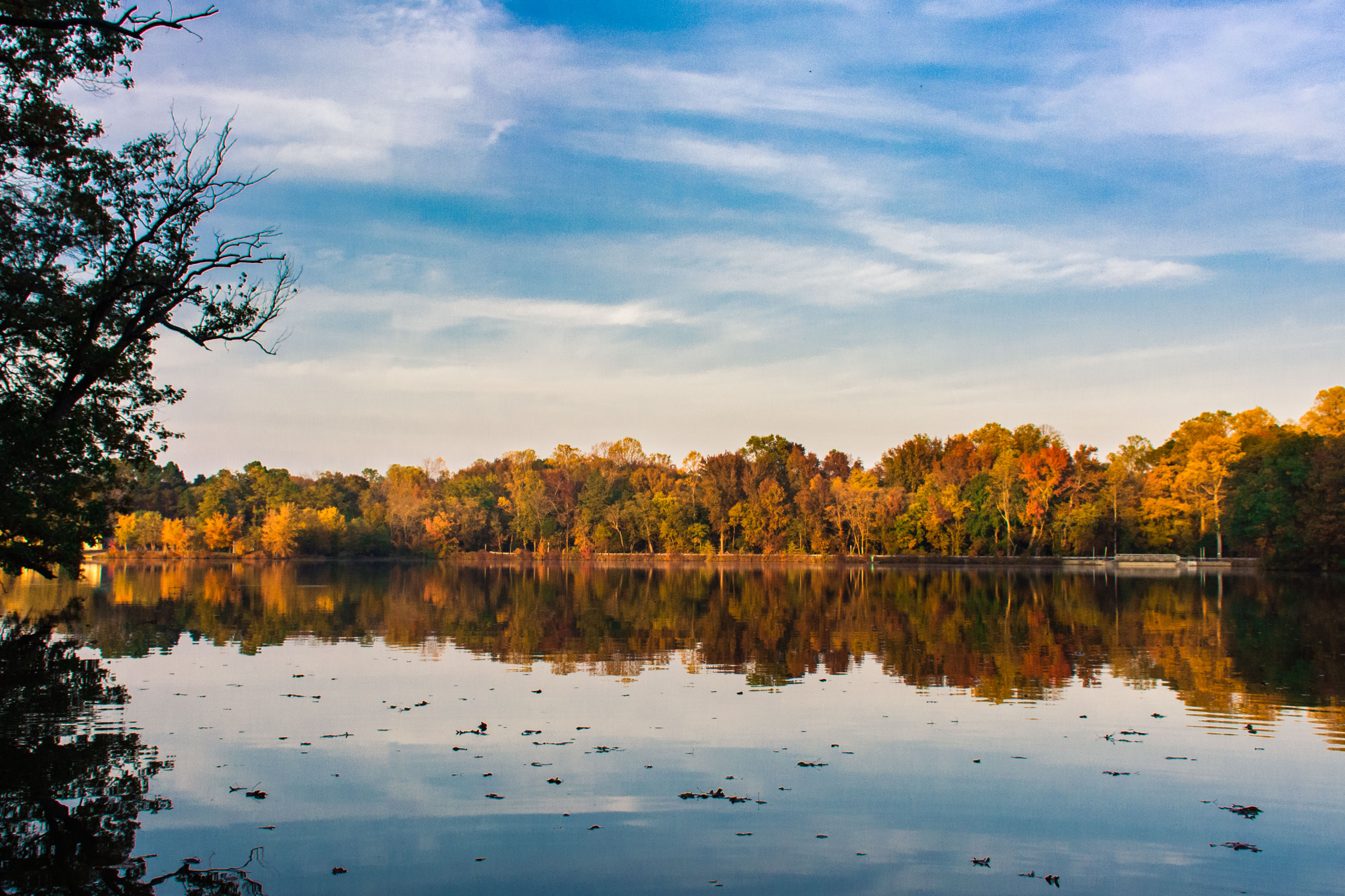 The Best 5 Hikes for Fall Foliage in Delaware