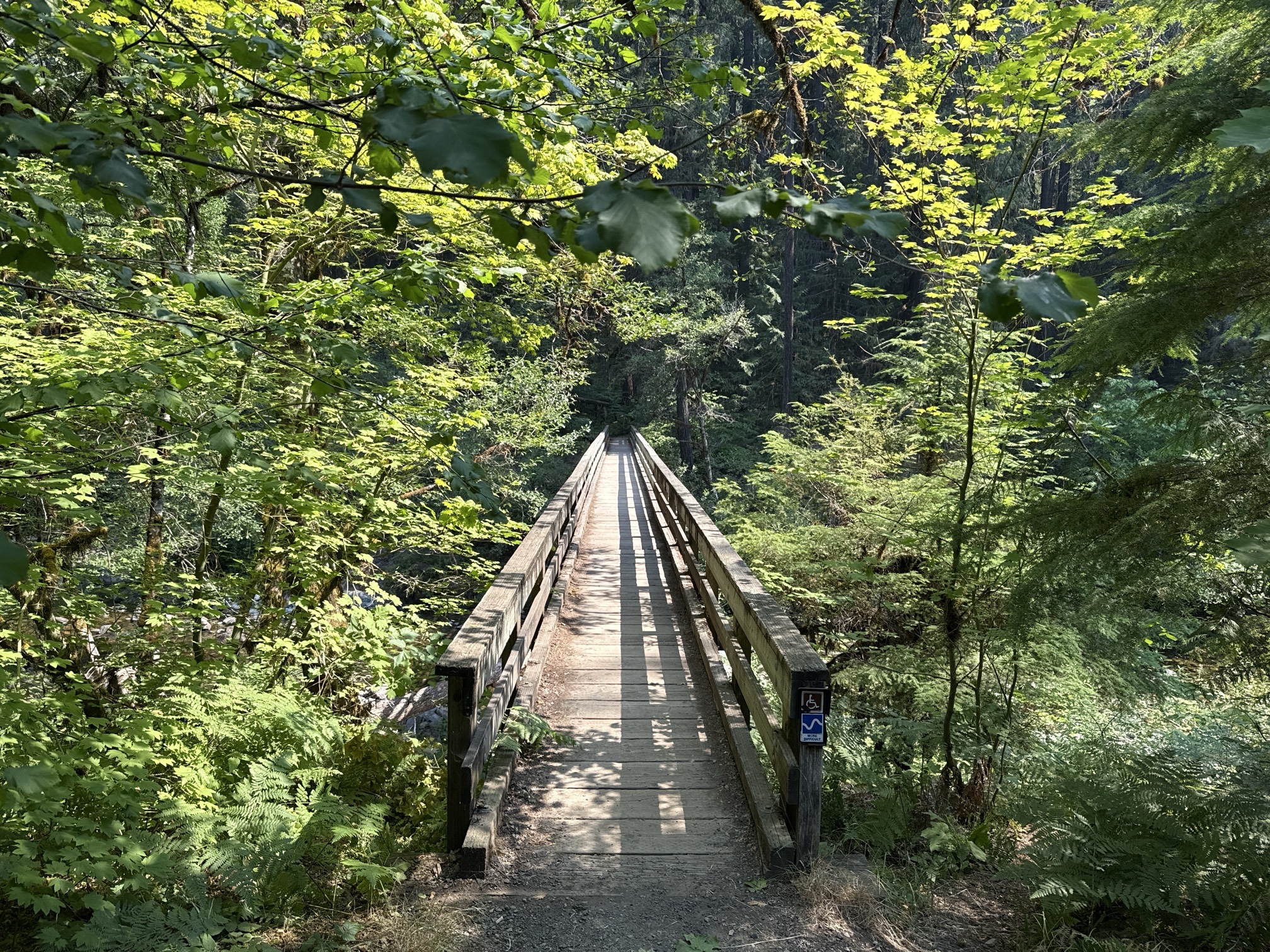 Trestle Creek Falls via Brice Creek Trailhead, Dorena, Oregon