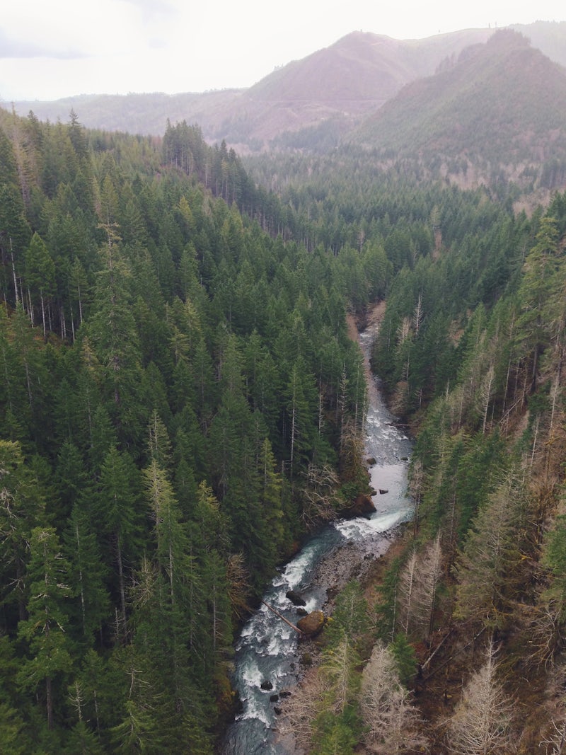 Photo of Hike the Vance Creek Viaduct Trail