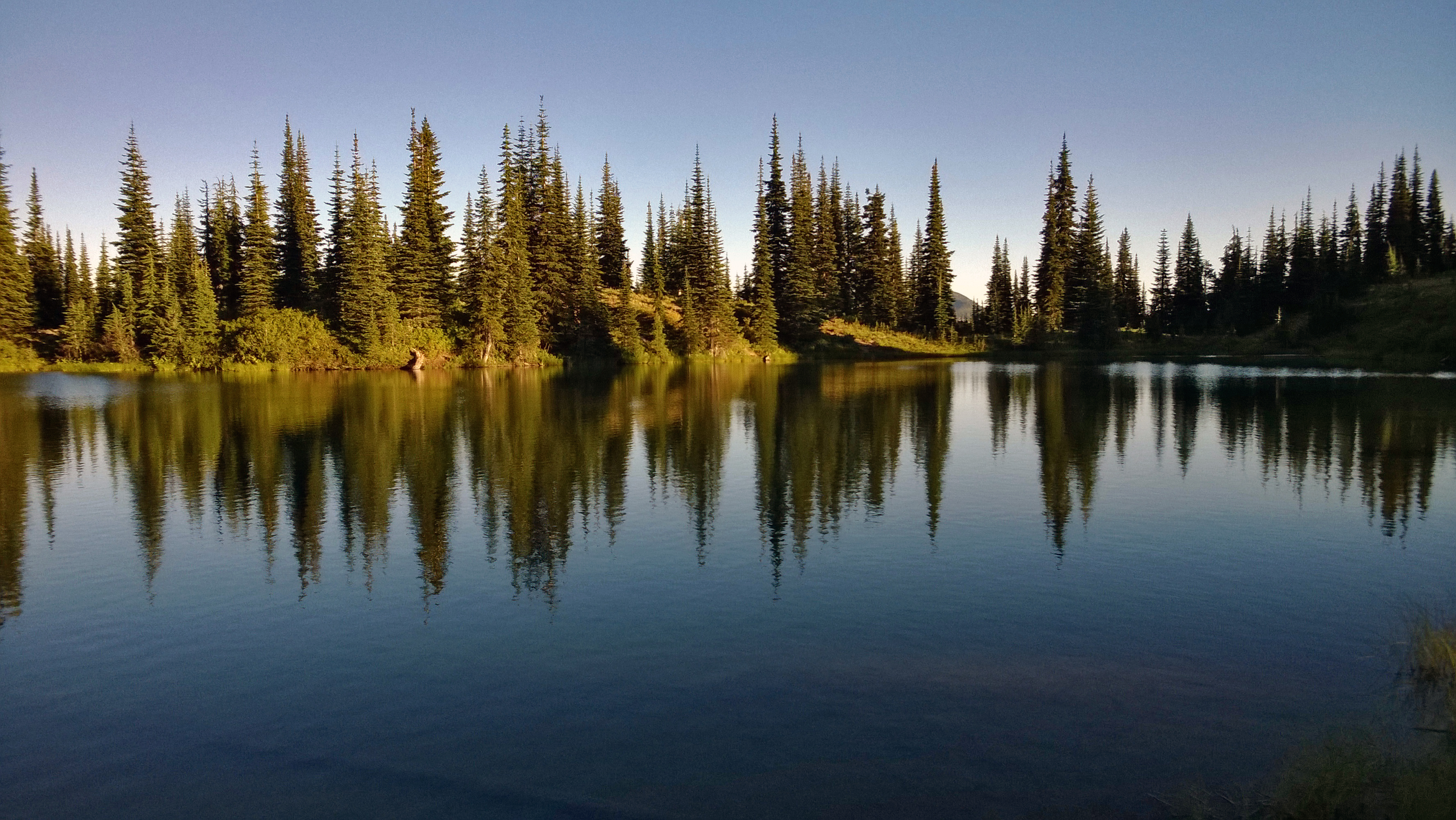 Backpack the Snowgrass Flats, Cispus Basin, Nannie Ridge Loop, Randle ...