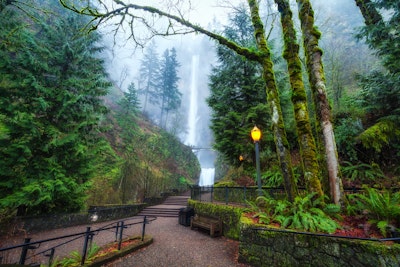 Explore Multnomah Falls, Multnomah Falls