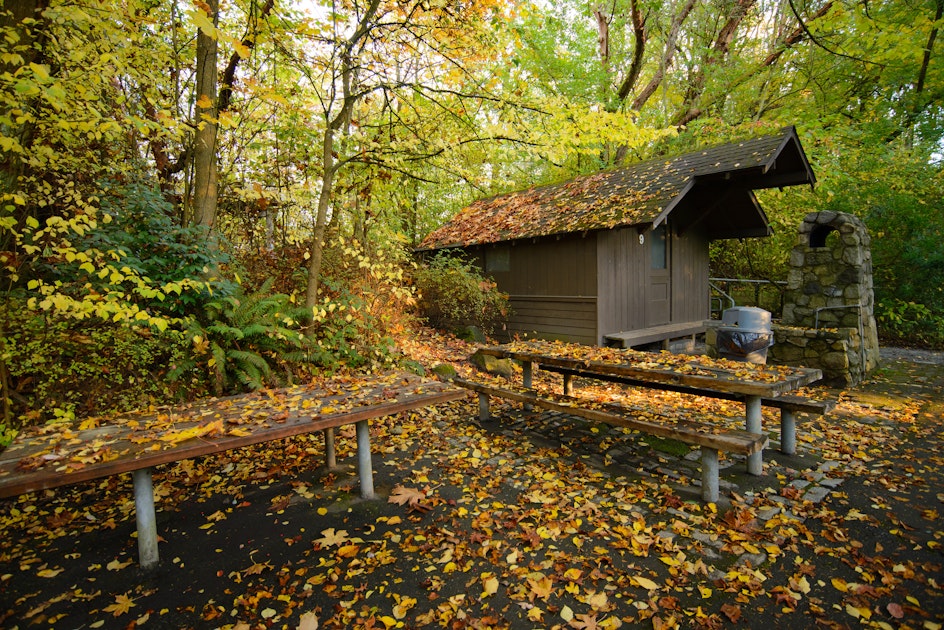 Camp at Camp Long, Washington
